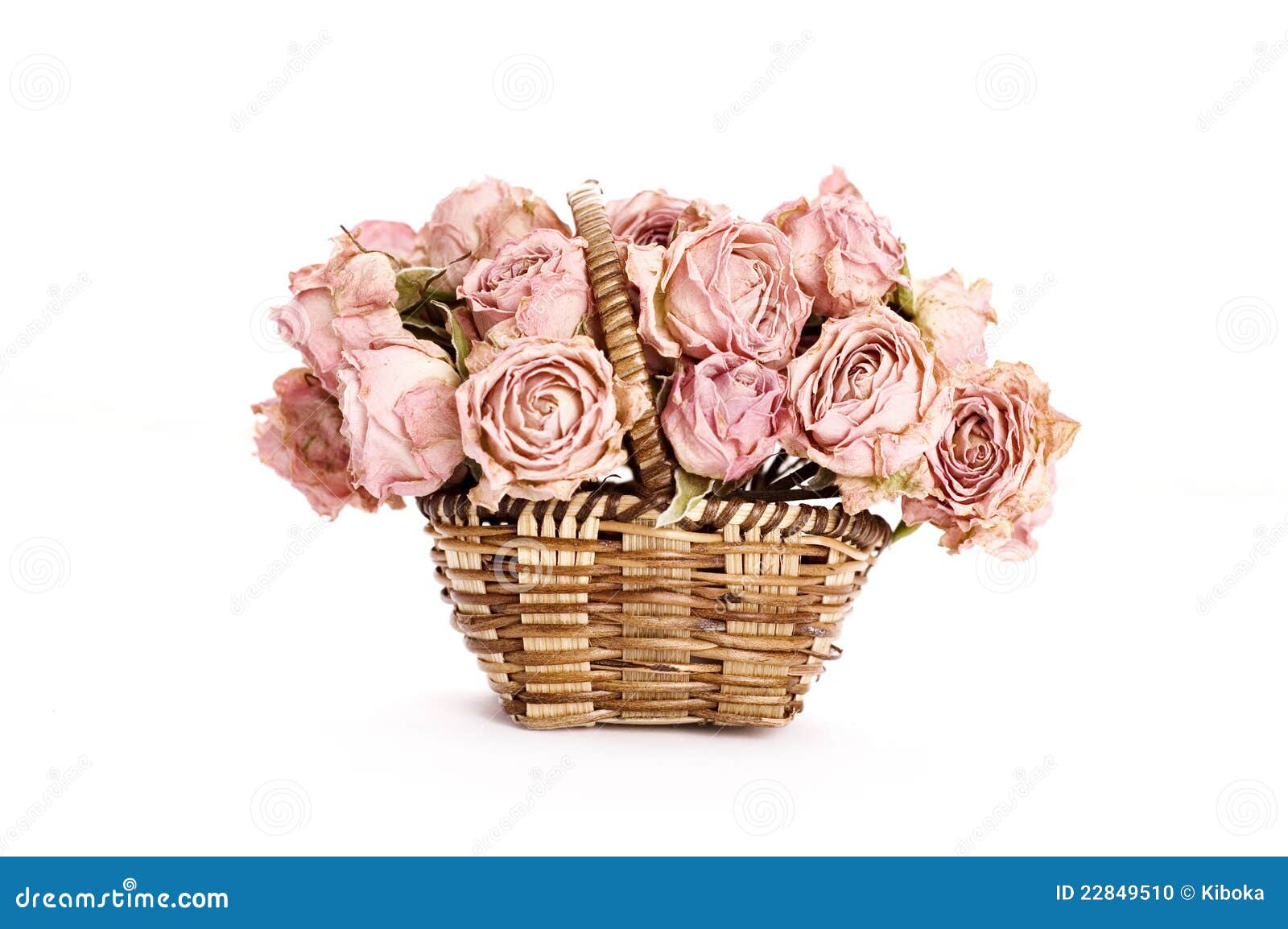Dried pink roses stock photo. Image of green, isolated - 22849510
