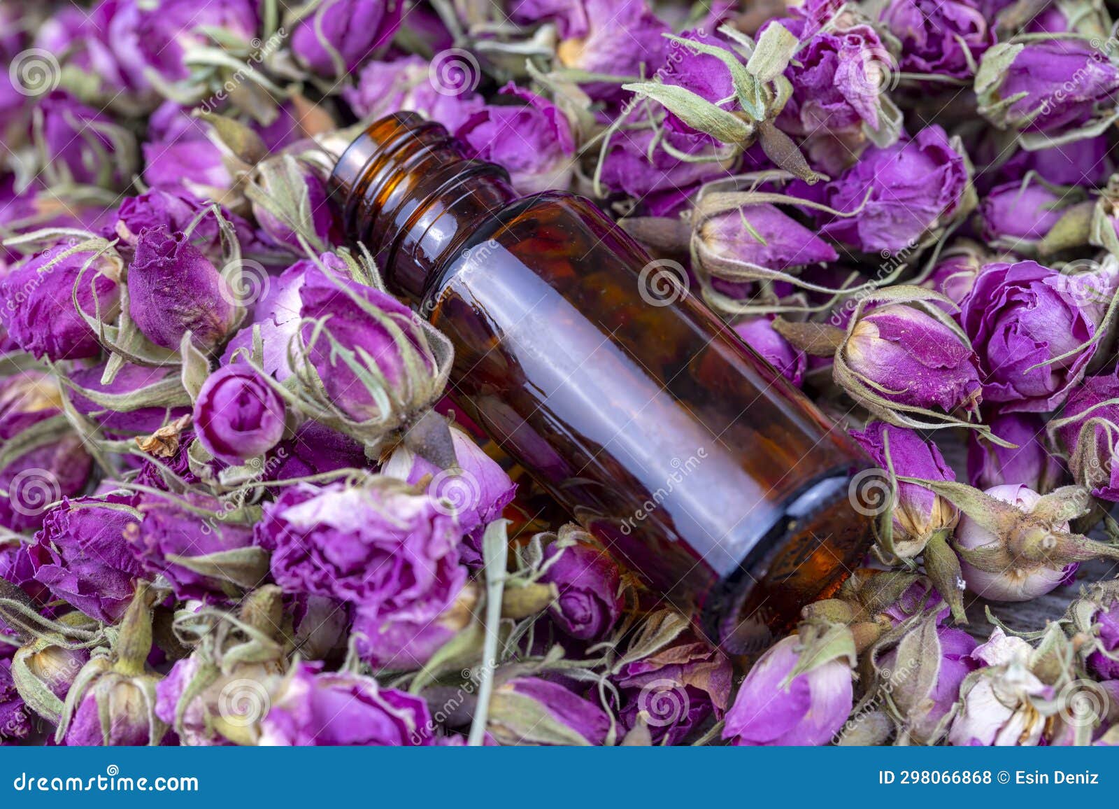 Dried Pink Roses Essential Oil Stock Photo - Image of fragrance ...
