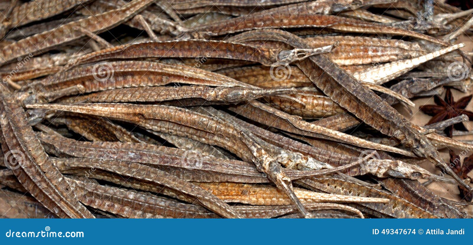 Dried pipefish, Singapore stock photo. Image of heatlhy - 49347674