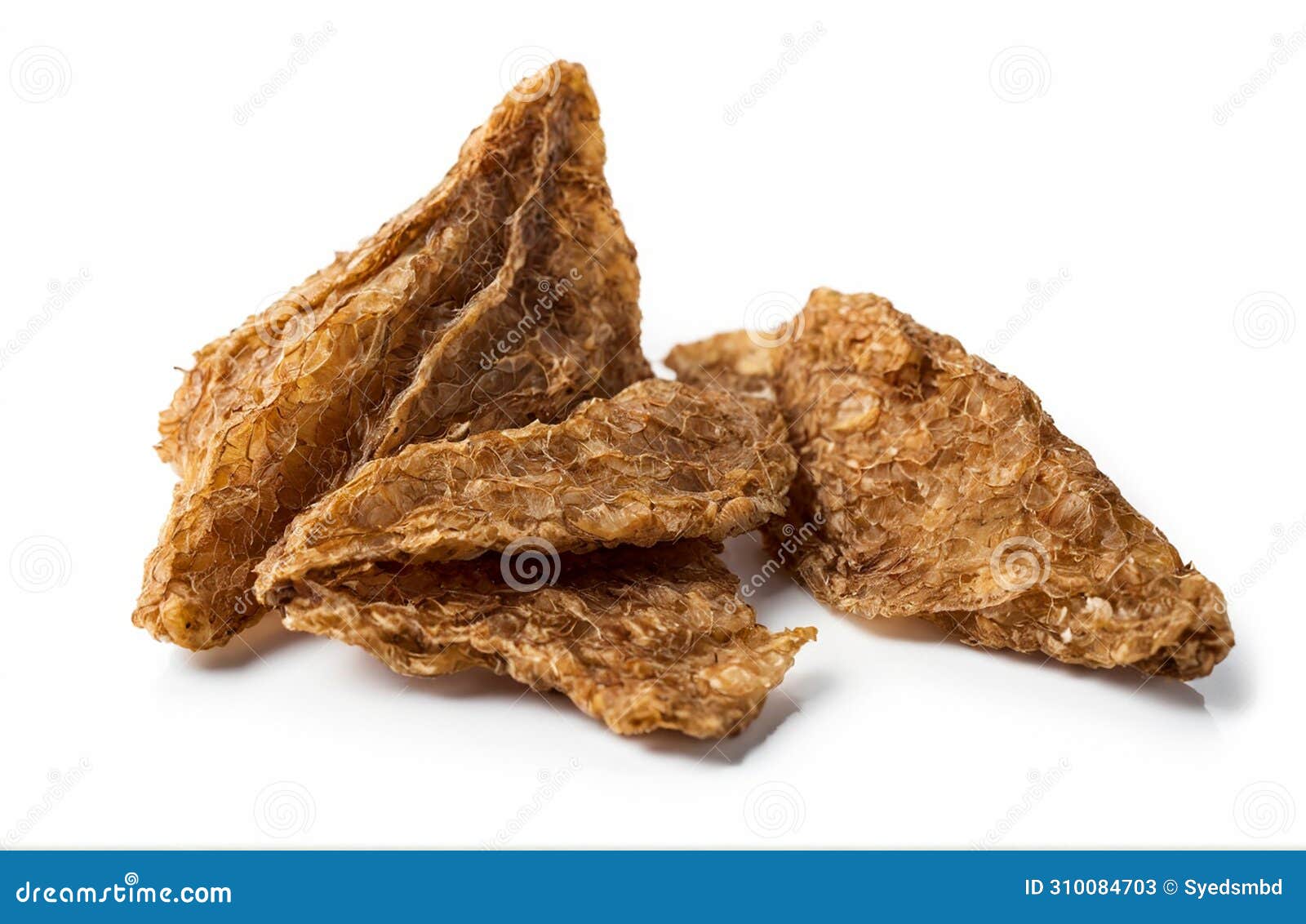 Pollack Cartoons, Illustrations & Vector Stock Images - 72 Pictures to ...