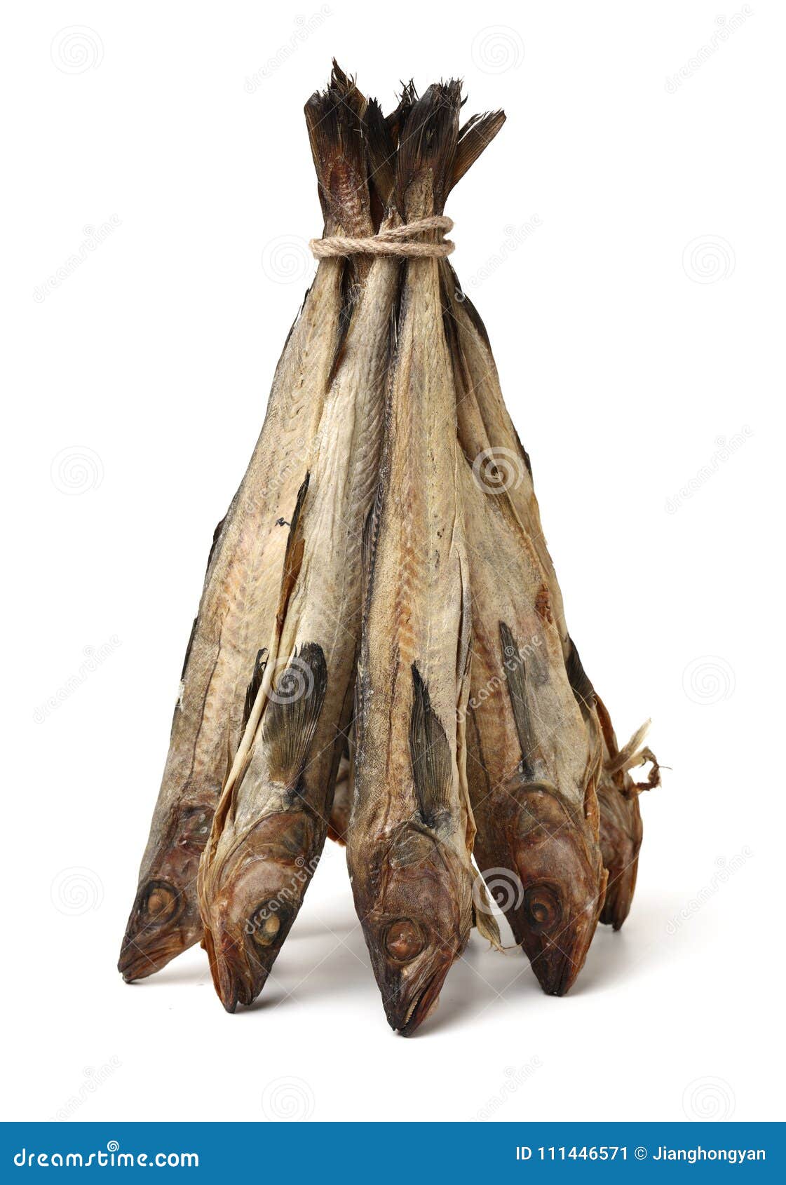 Dried pollack stock image. Image of person, drink, food - 111446571