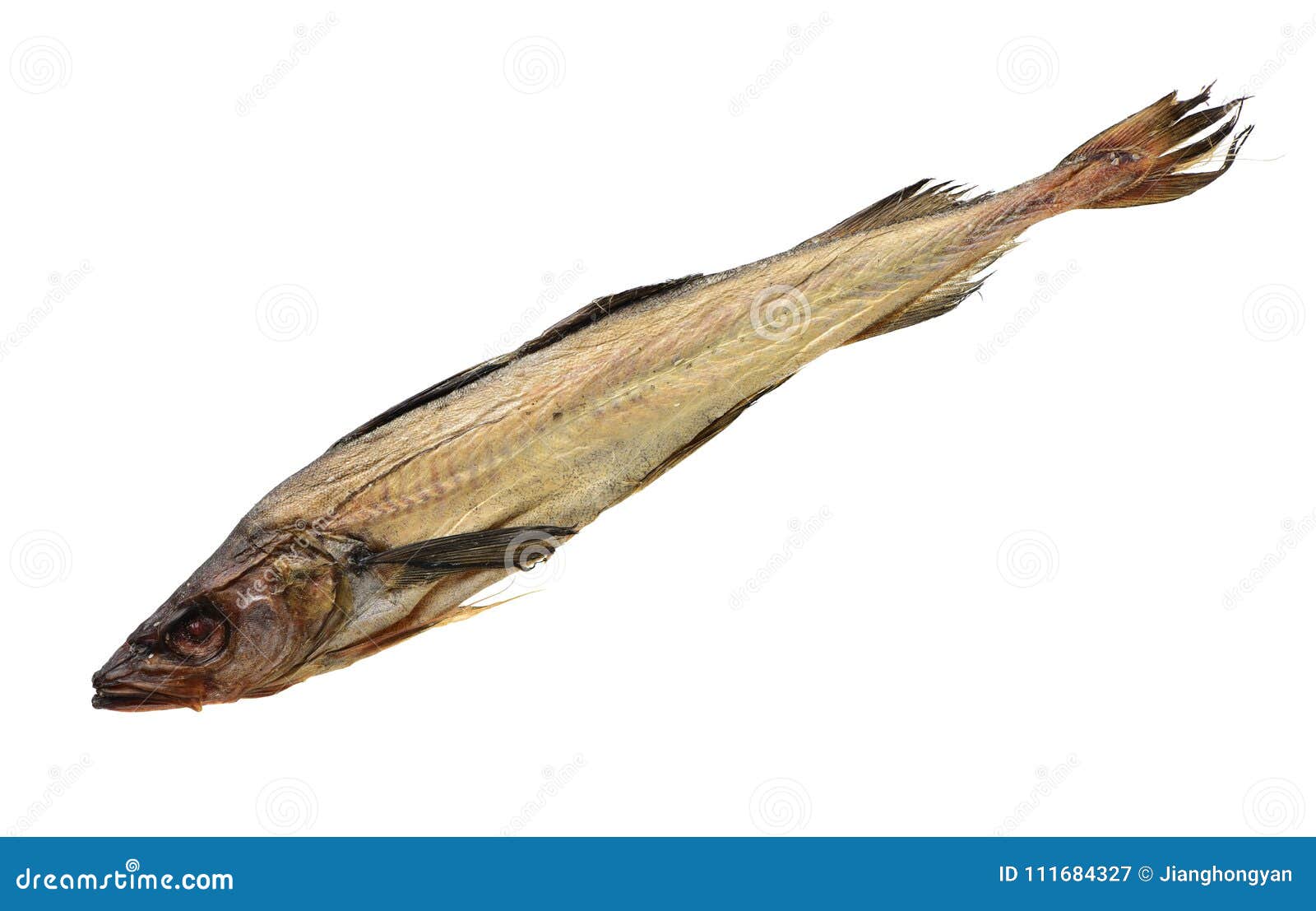 Dried Pollack stock image. Image of people, state, dried - 111684327