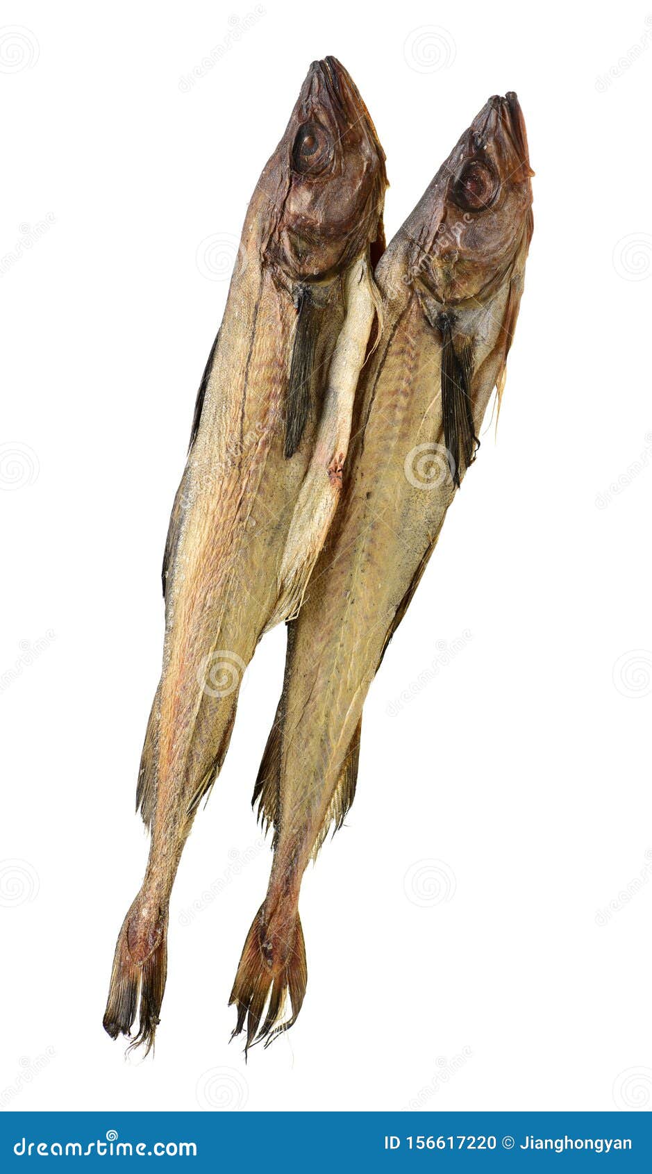 Dried Pollack stock photo. Image of gourmet, healthy - 156617220