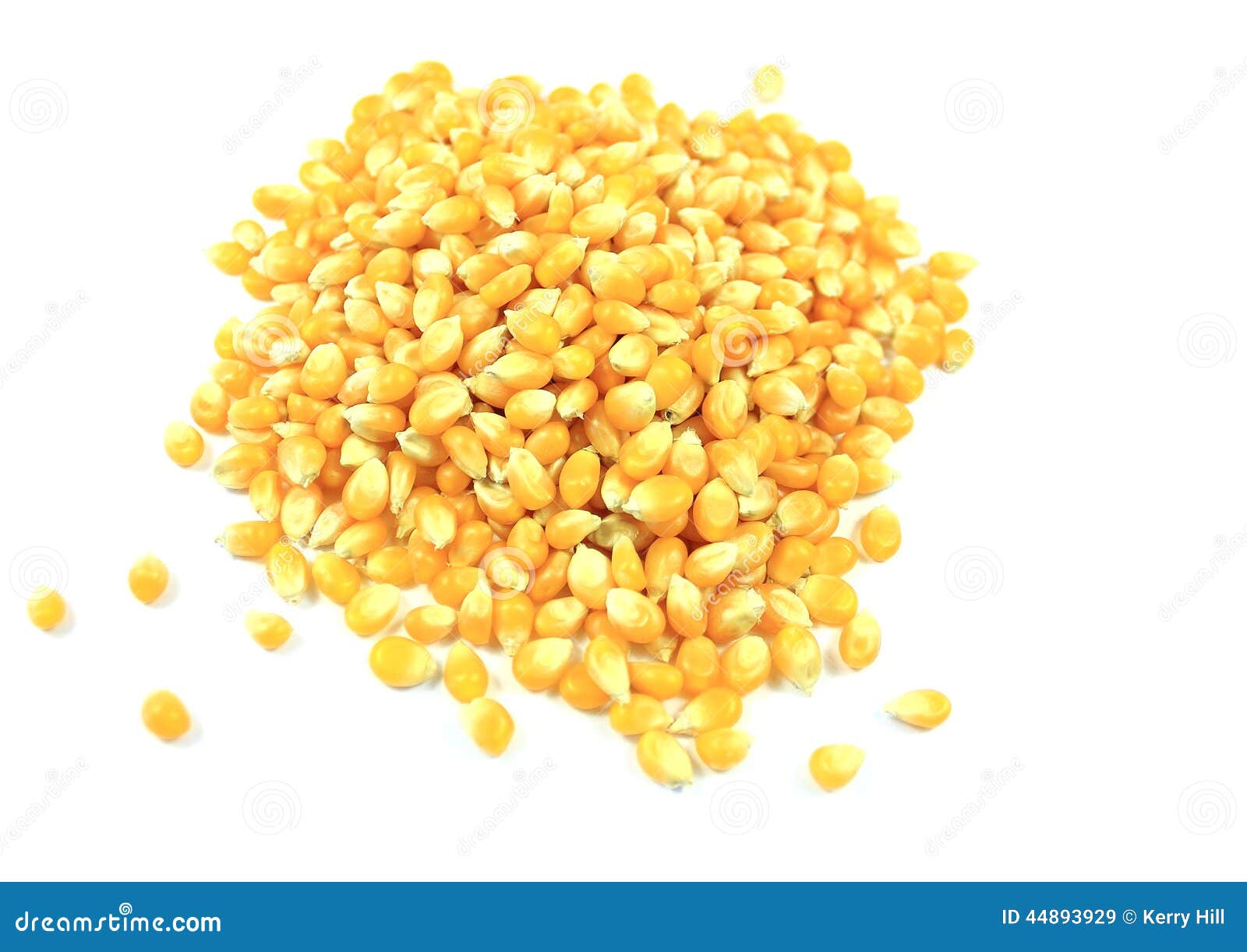 Dried popcorn kernals stock image. Image of macro, closeup - 44893929