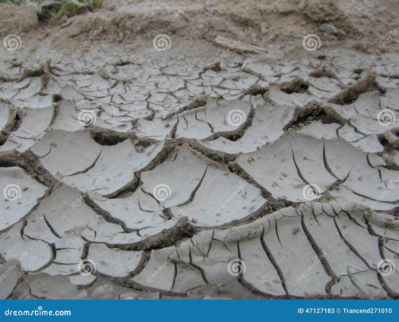 A Dried Puddle, Drought Desert Stock Image - Image of flower, white ...
