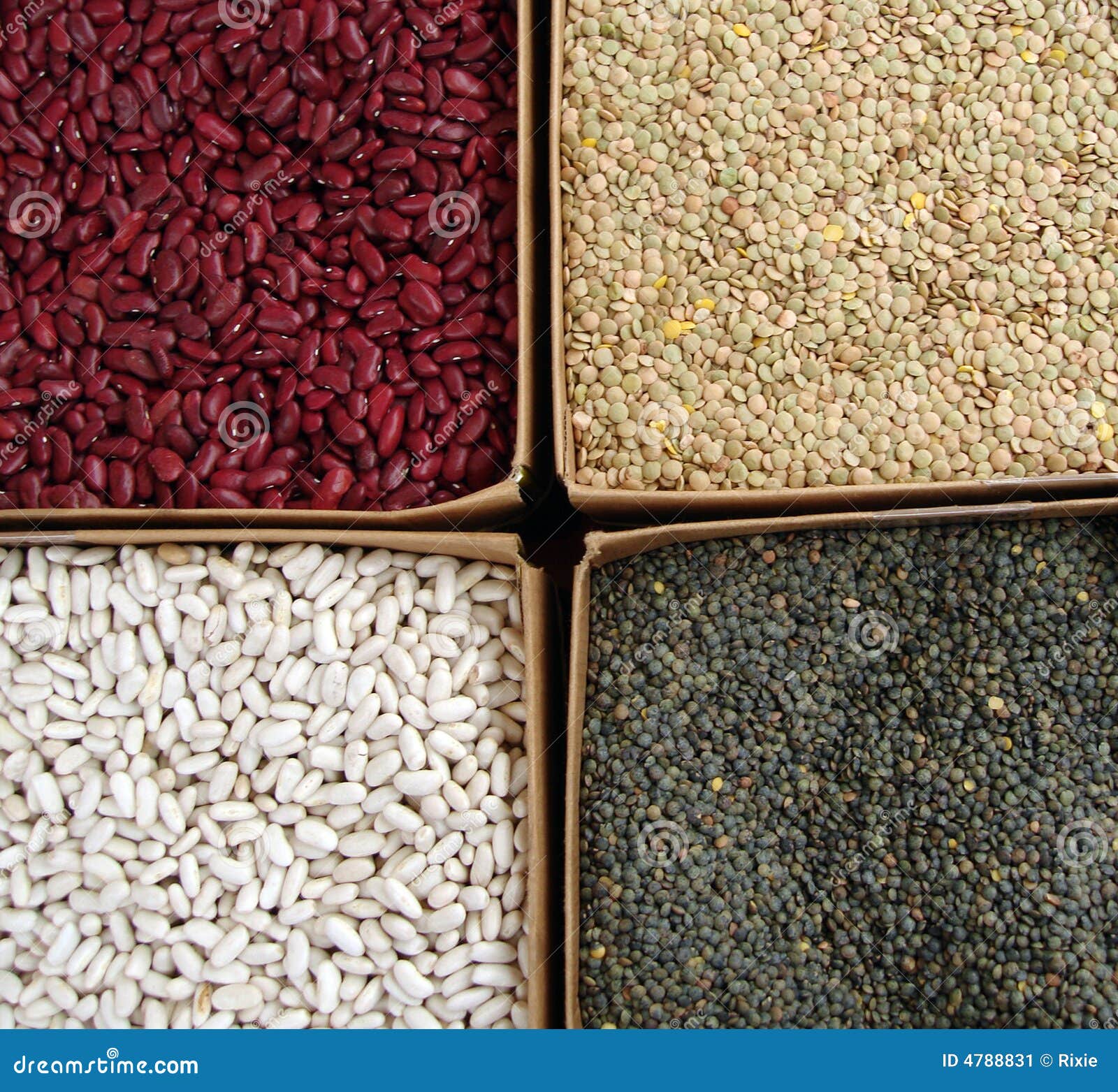 Dried pulses stock image. Image of pulse, dried, lentil - 4788831