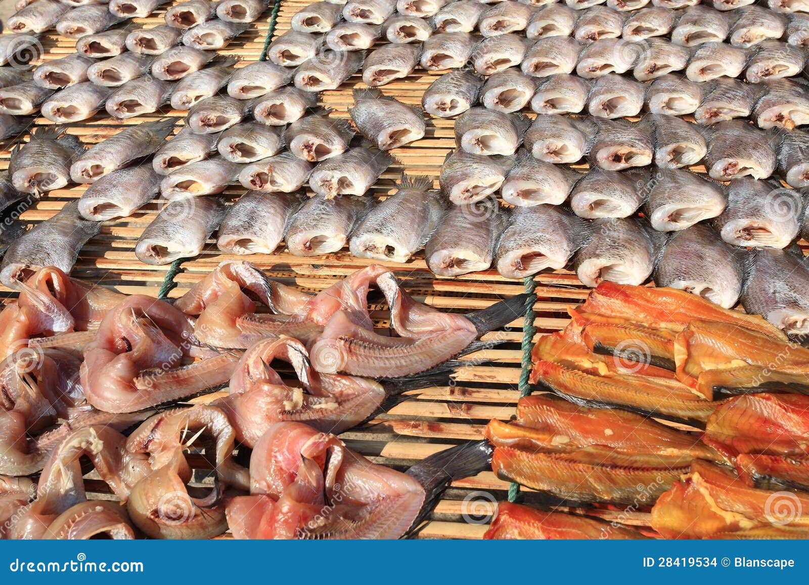 Dried Raw Fish on Bamboo Tray Stock Photo - Image of closeup, escargot ...