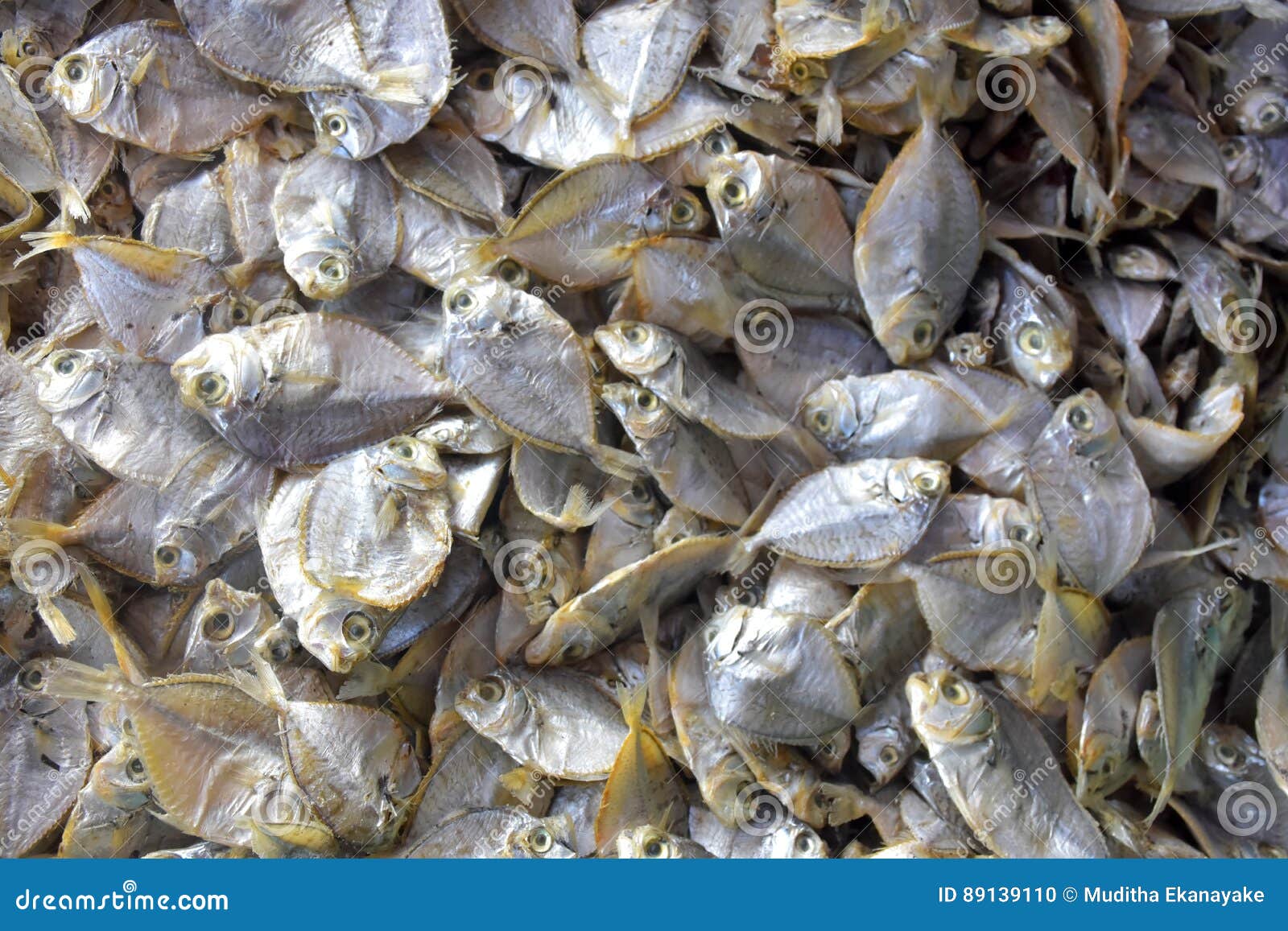 Dried raw round fish stock photo. Image of food, dehydrated - 89139110