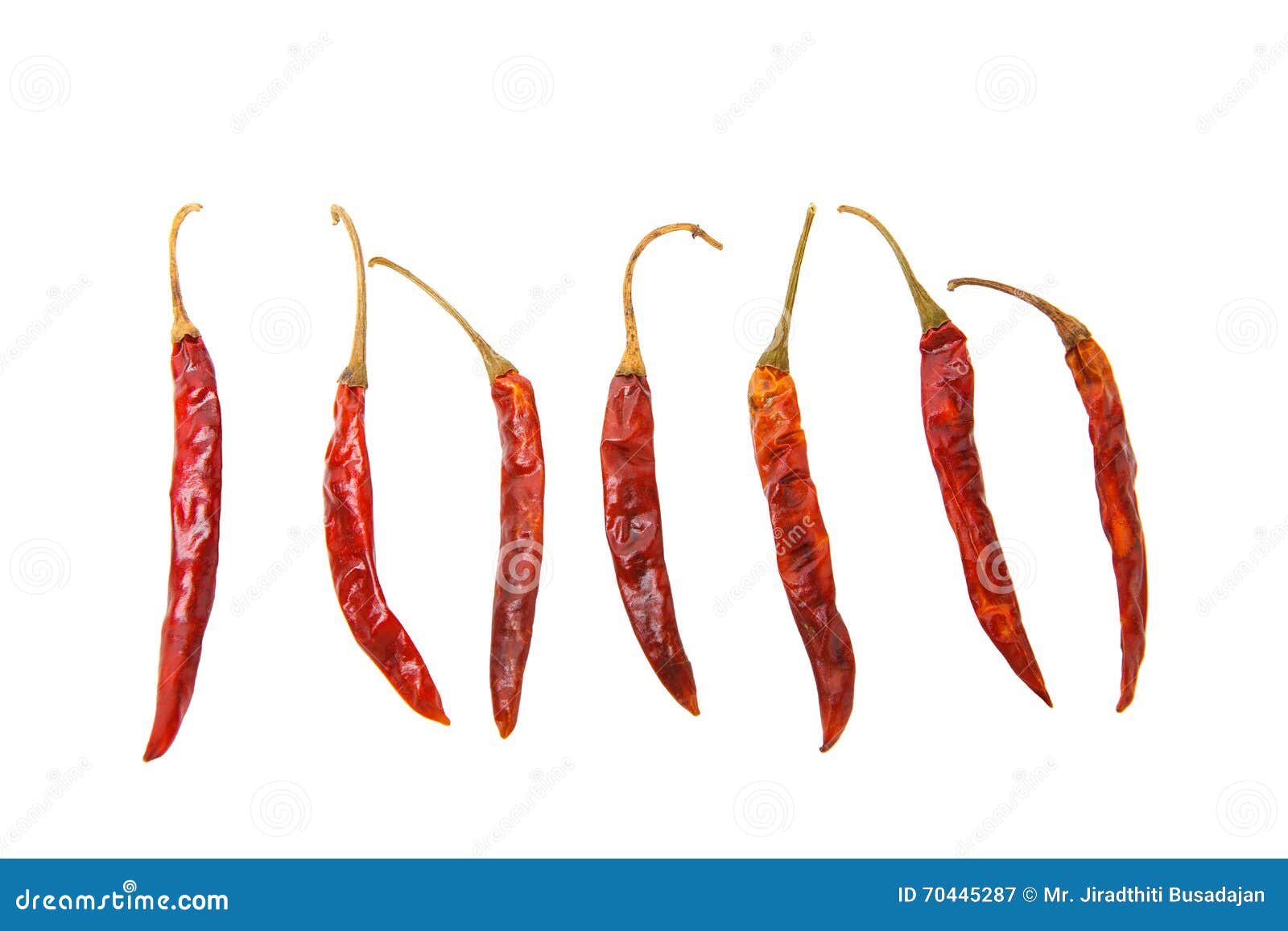 Dried red chili stock image. Image of isolated, tropical - 70445287