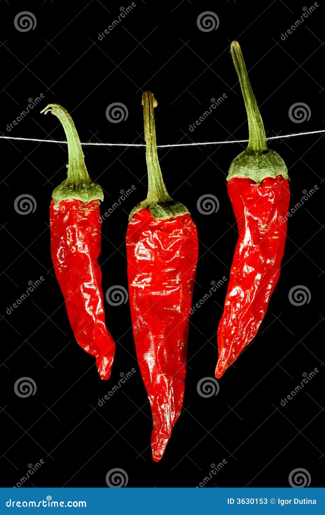 Dried red chili peppers stock image. Image of kitchen - 3630153