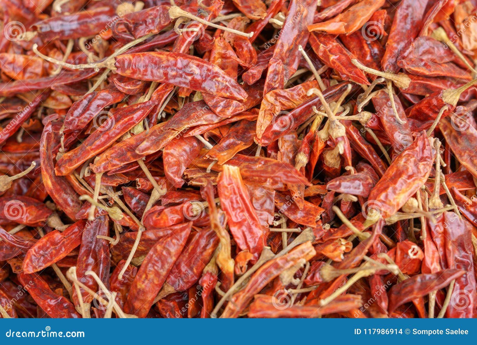 Dried Red Chilli As Background Stock Photo - Image of flavor, spice ...