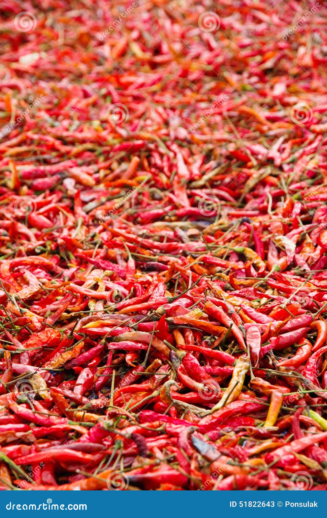 Dried Red Chilli Background Stock Image - Image of nature, market: 51822643