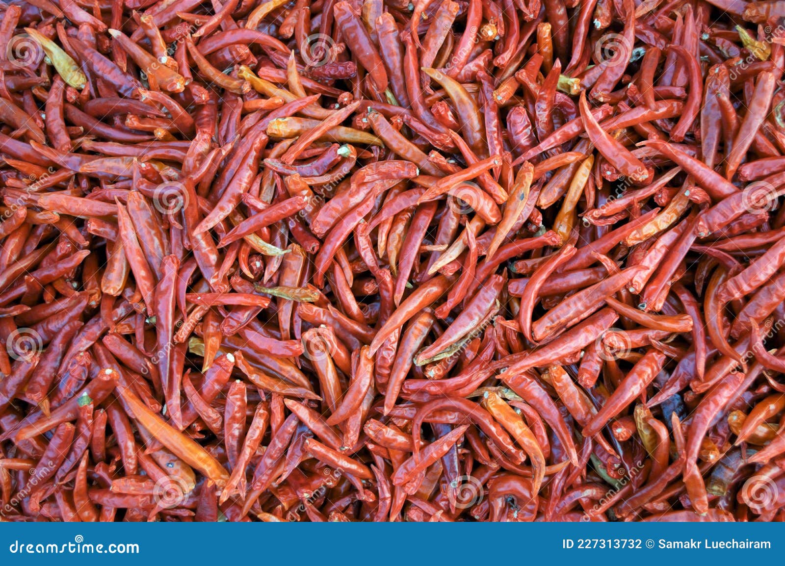 The Red Chilli Background Abstact Wallpaper Stock Image | CartoonDealer ...