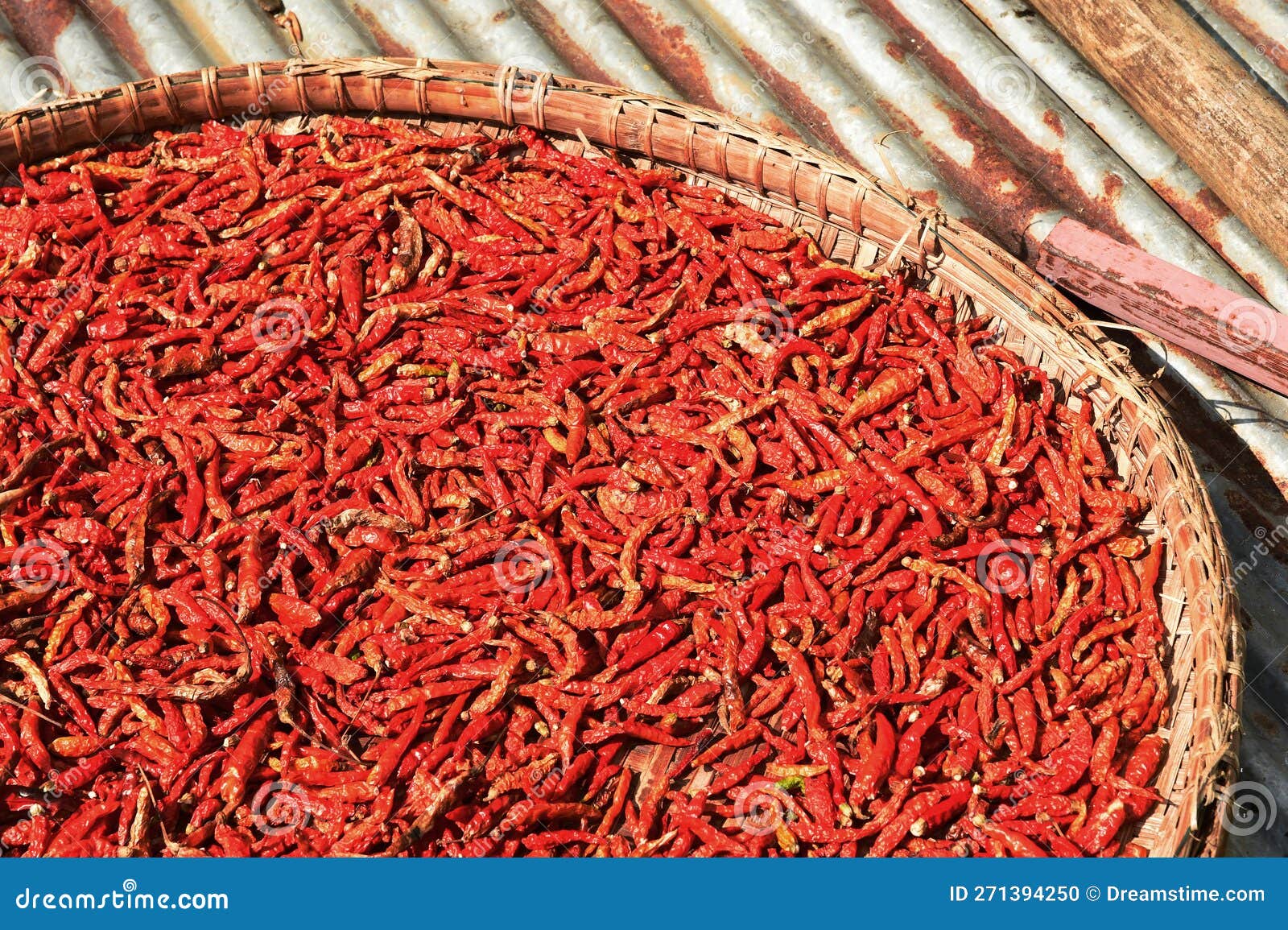 Dried Red Chilli in Bamboo Tray Stock Photo - Image of agriculture ...