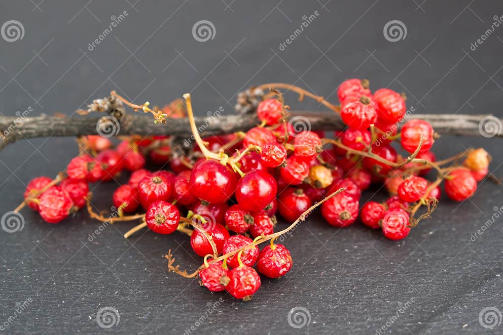Dried red currant stock photo. Image of table, diet, nature - 87764602