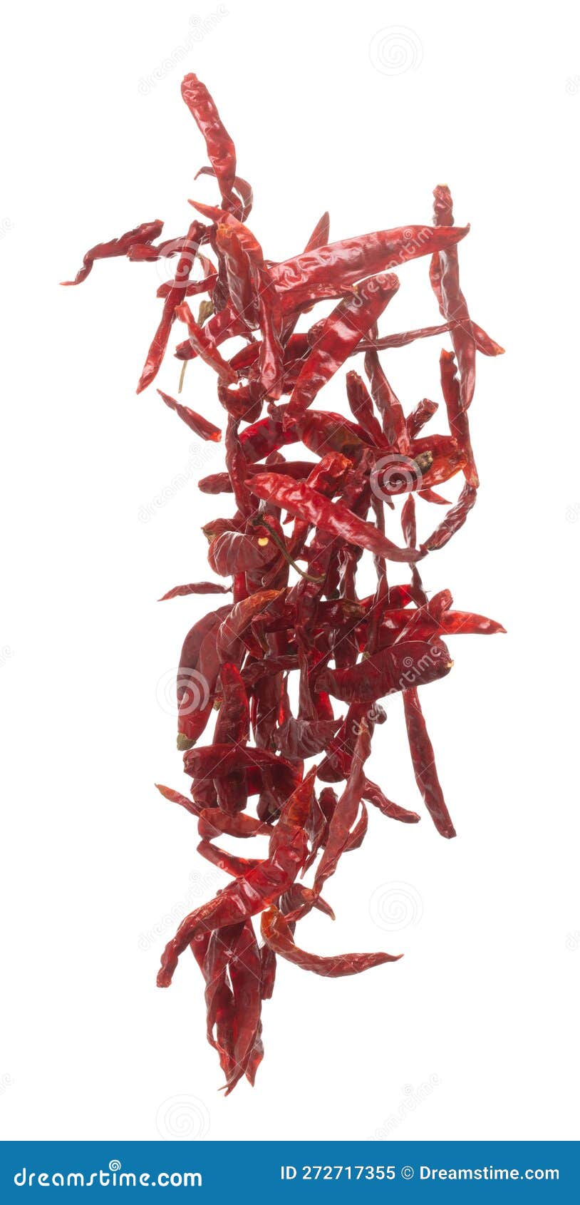 Dried Red Hot Chilli Fall Down Explosion, Dried Red Chilli Float ...