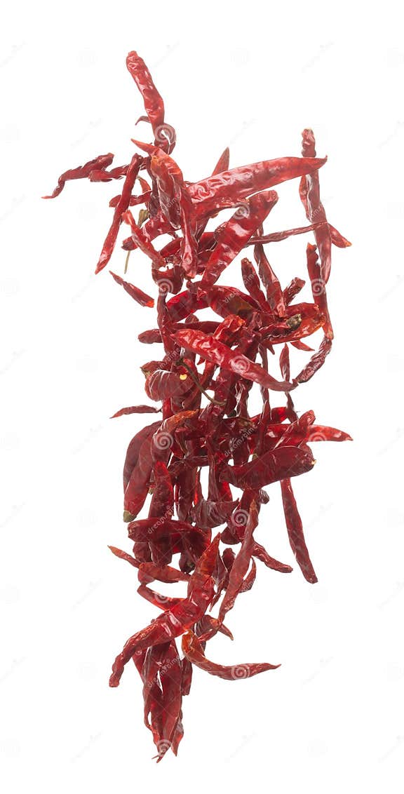 Dried Red Hot Chilli Fall Down Explosion, Dried Red Chilli Float ...