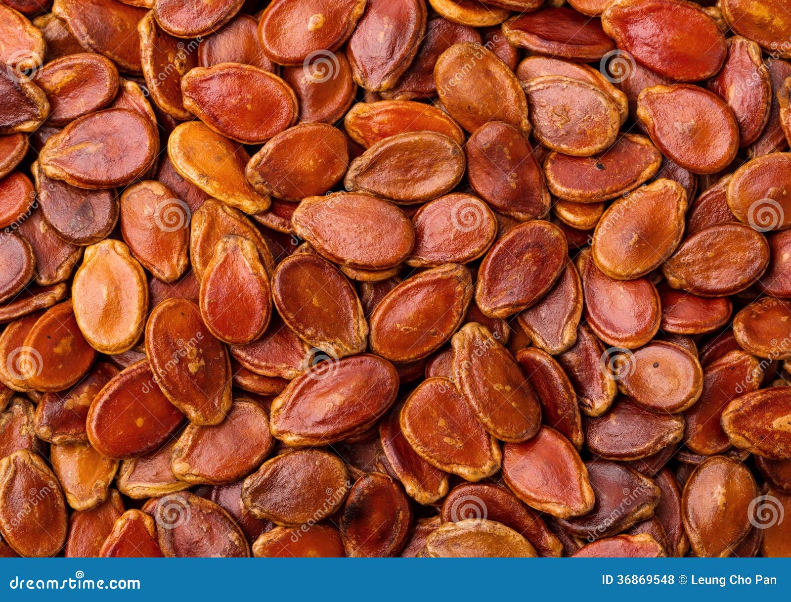 Dried red melon seed stock photo. Image of melon, roasted - 36869548