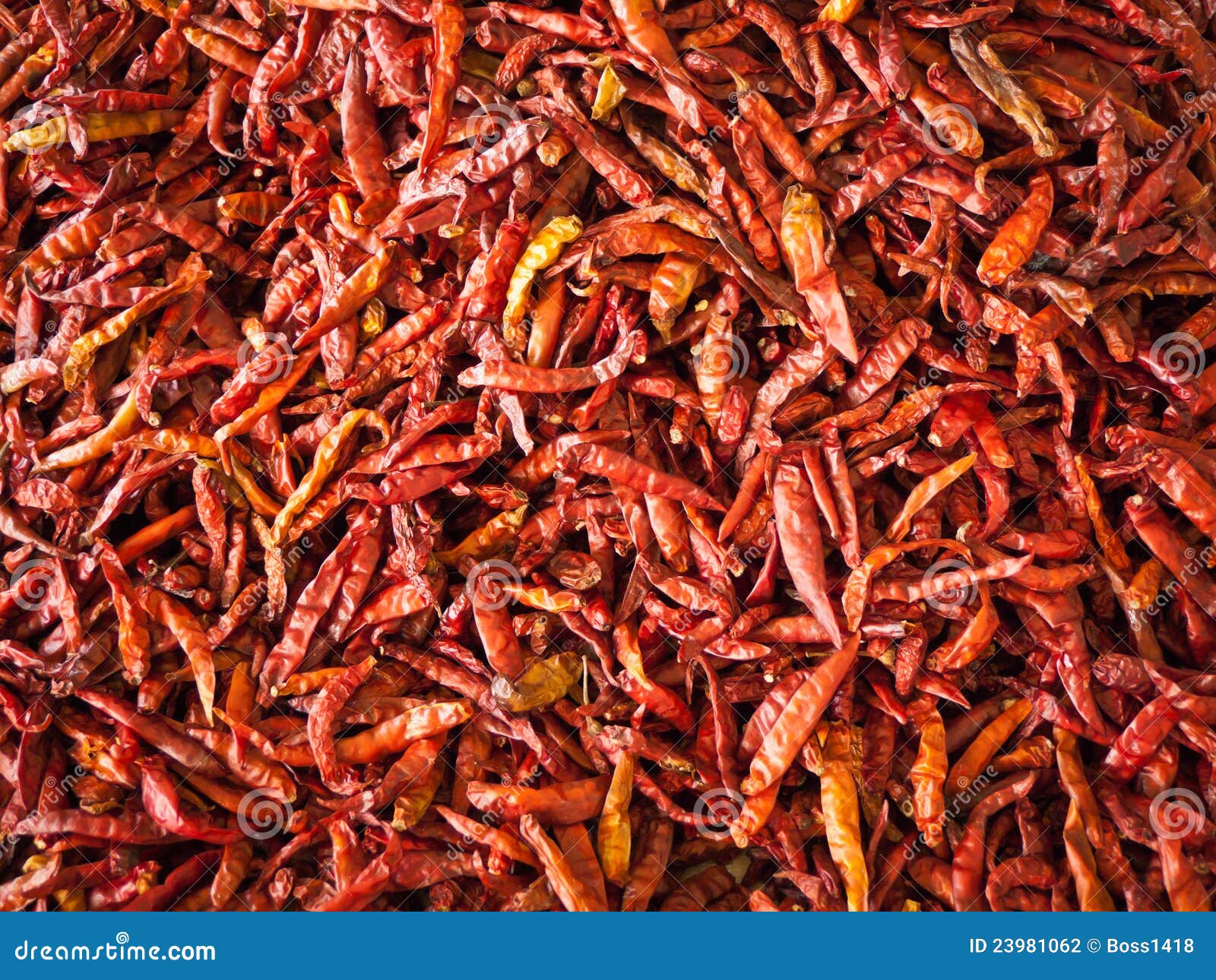 Dried red pepper. stock photo. Image of colorful, asian - 23981062