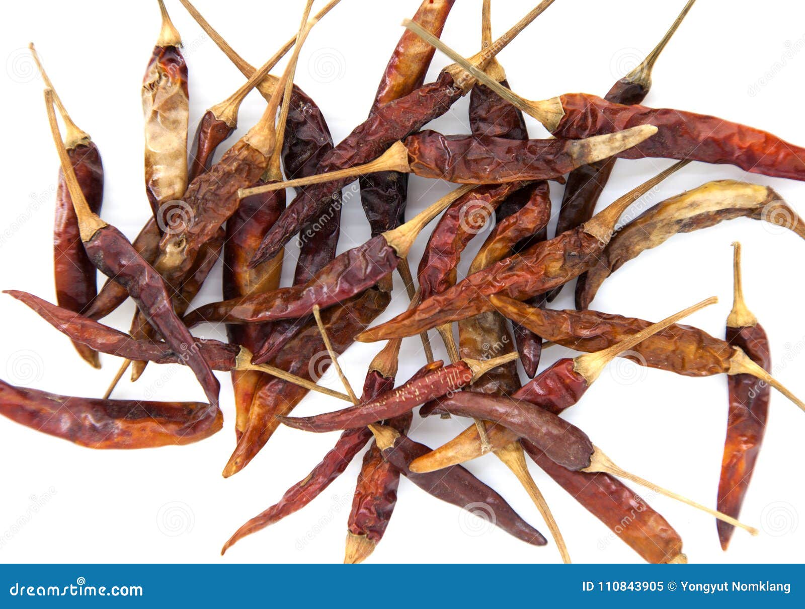 Red Dried Chilli Hand Drawn Watercolor, Dried Chili Clip Art Stock ...