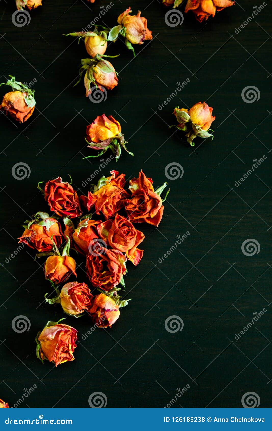 Dried red roses. stock photo. Image of design, closeup - 126185238