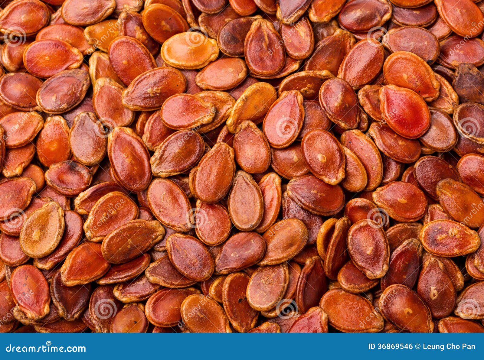 Dried red watermelon seed stock photo. Image of lunar - 36869546