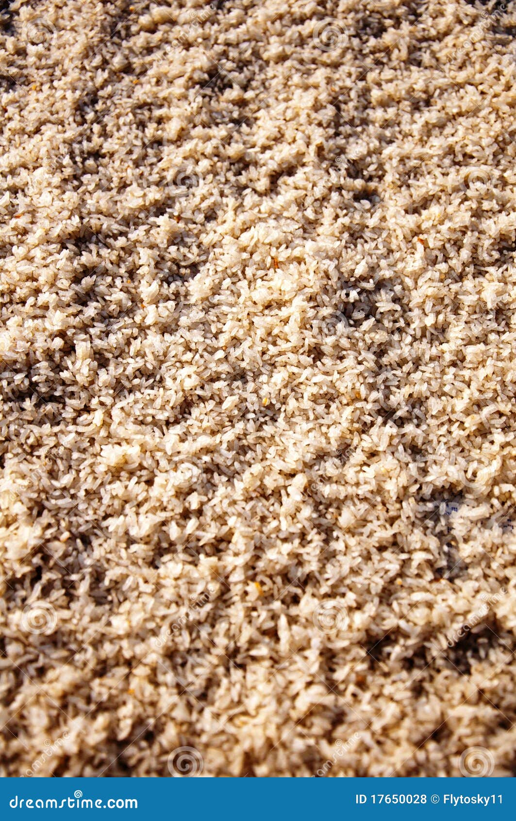 Dried rice stock photo. Image of grain, textured, purveyance - 17650028