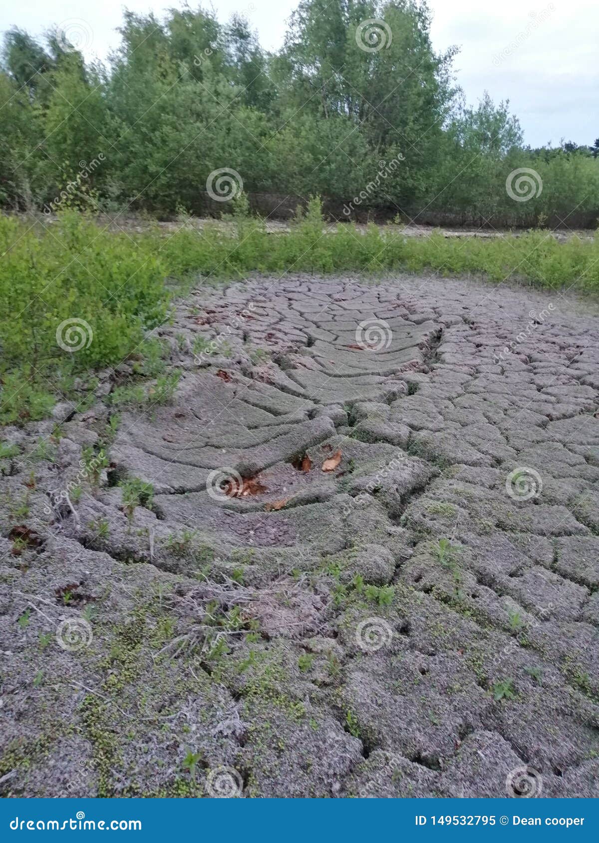 Dried riverbed stock image. Image of dried, environmental - 149532795