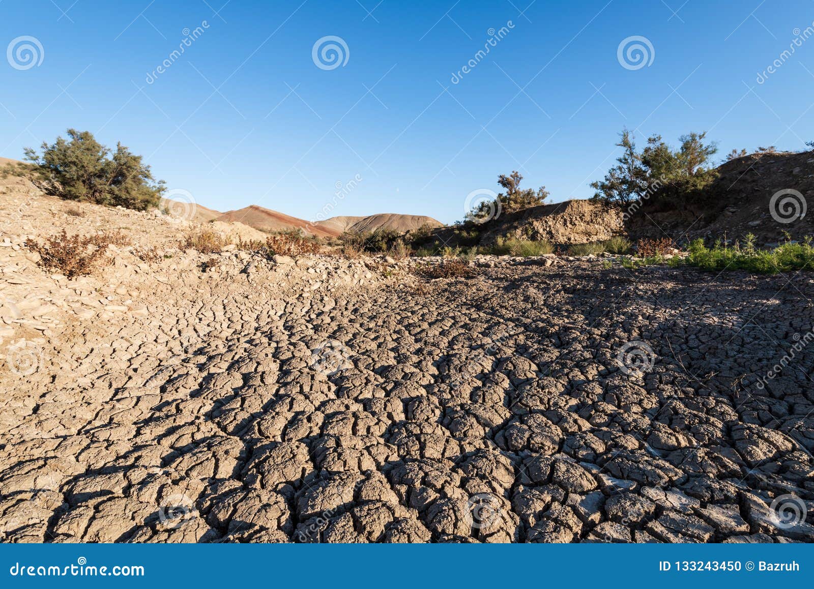 Dried Riverbed of a Mountain River Stock Photo - Image of plant, arid ...