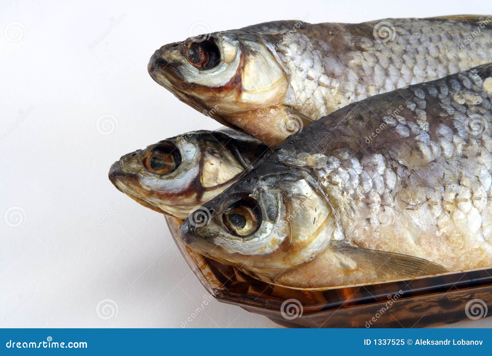 Dried roach stock image. Image of gastronome, food, wild - 1337525