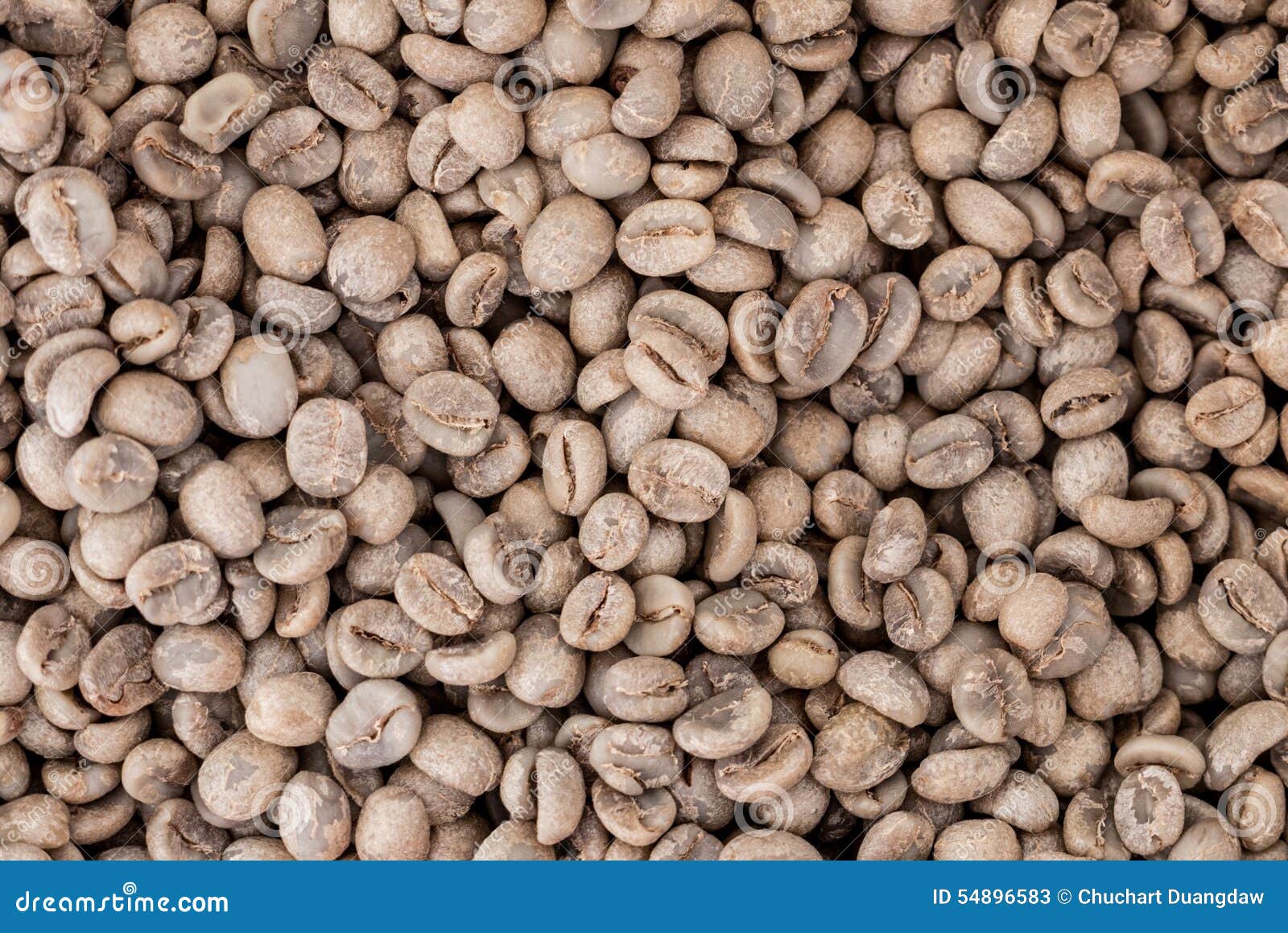 Dried Robusta Coffee Bean Cherry With Greenhouse Solar Drying System ...