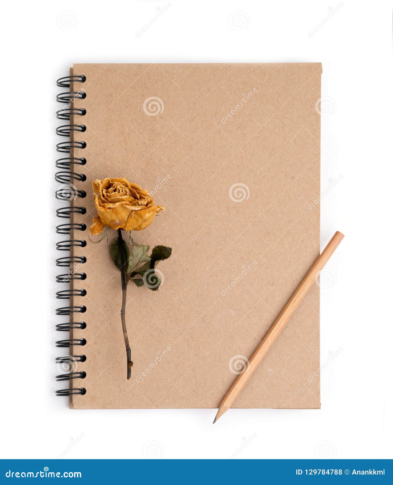 Dried Rose Flower with Pencil on Notebook Stock Photo - Image of space ...