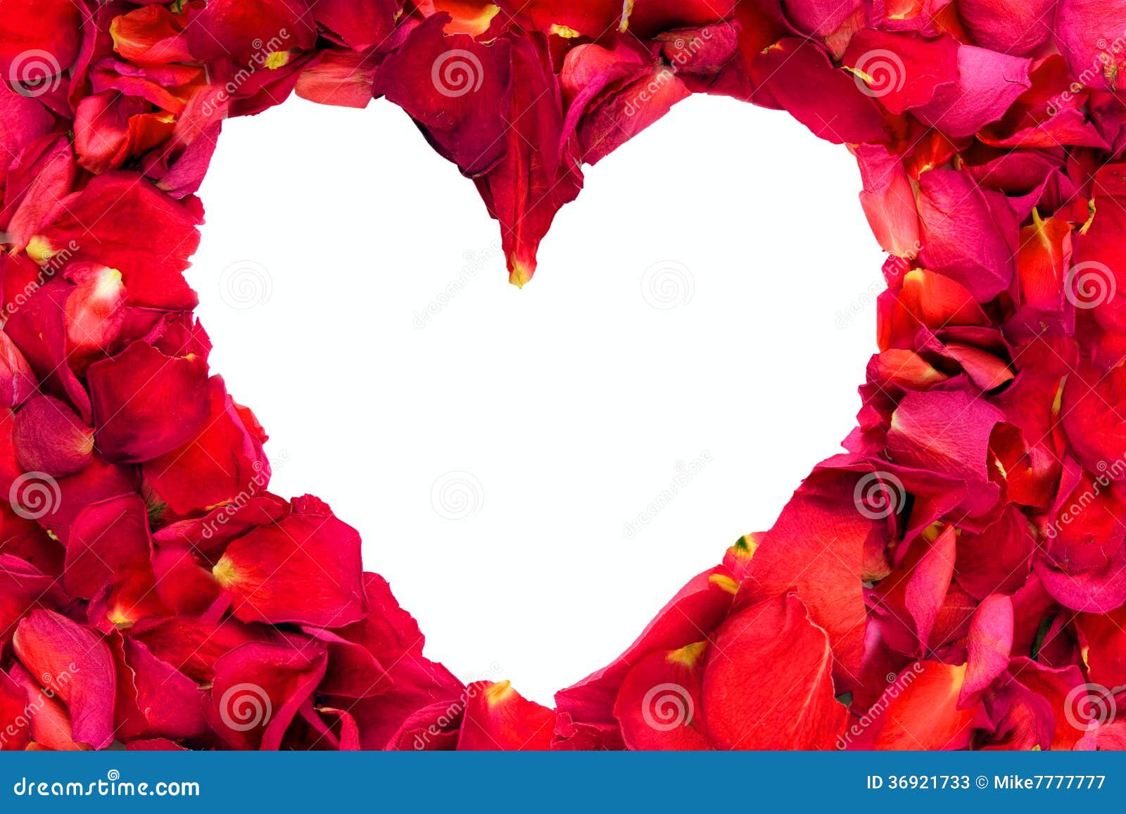 Dried Rose Petals in Heart Shape. Stock Image - Image of gift, floral ...