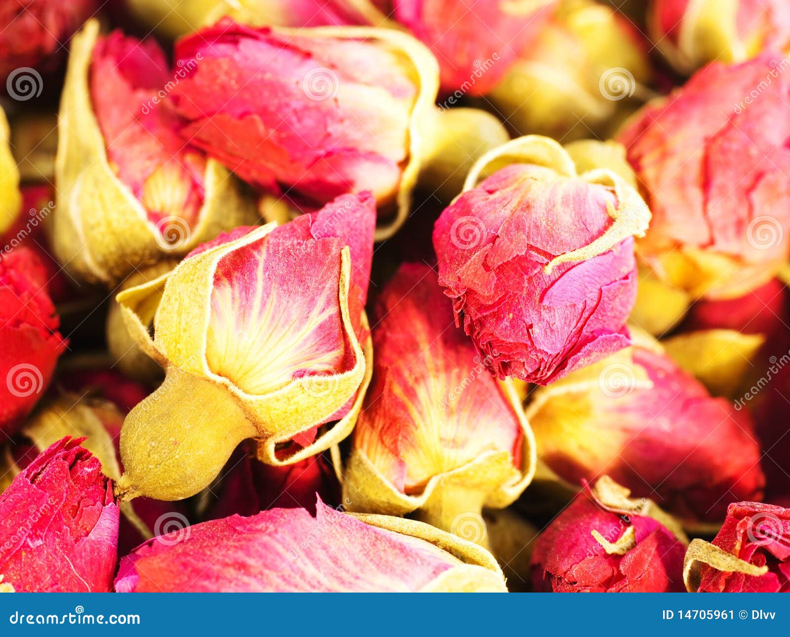 Dried rosebuds stock image. Image of close, aroma, spring - 14705961