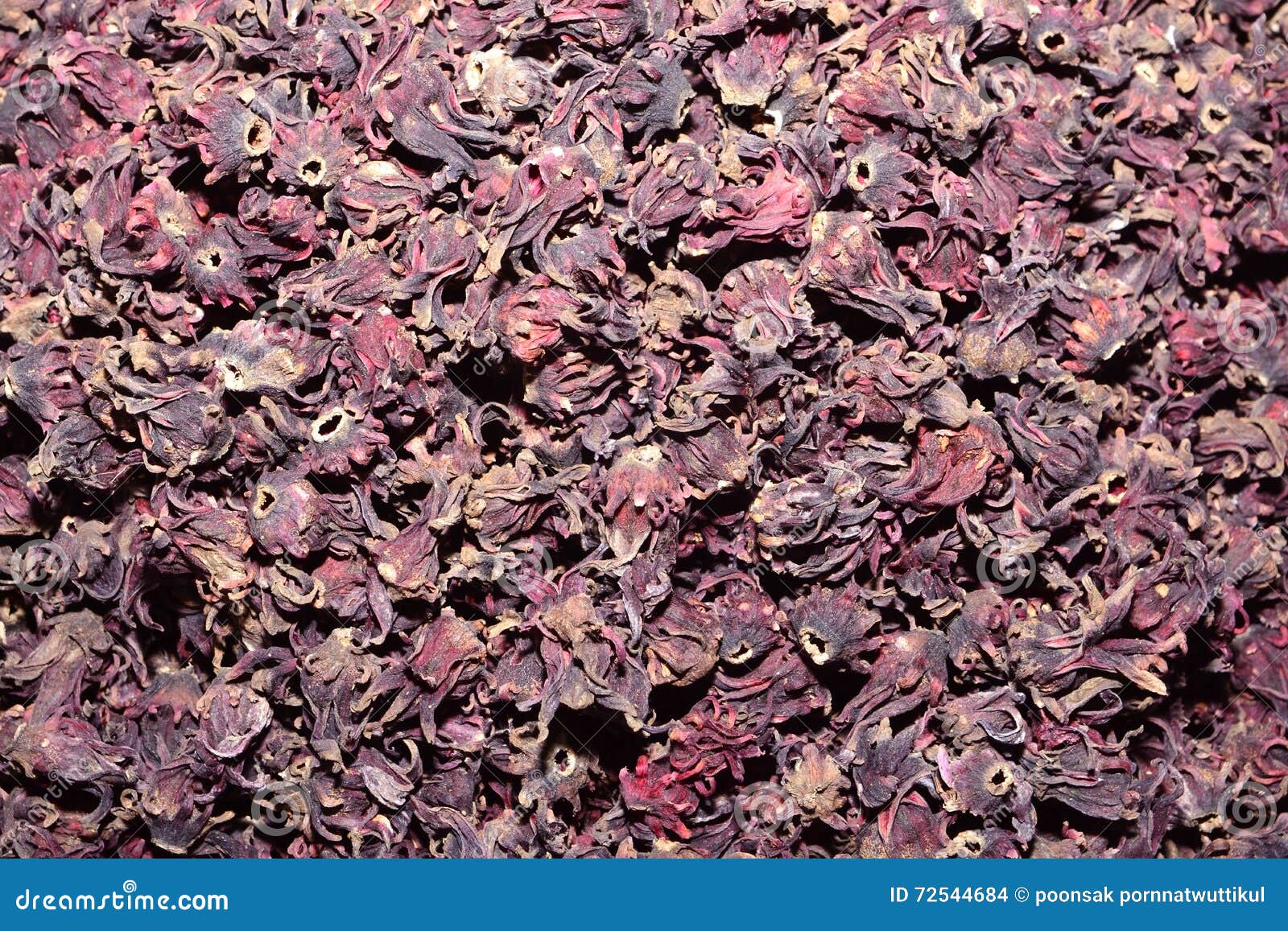 Dried Roselle flowers stock photo. Image of flowers, plant - 72544684