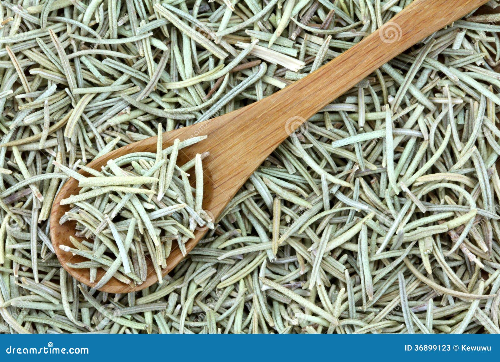Dried Rosemary stock image. Image of flavoring, closeup - 36899123