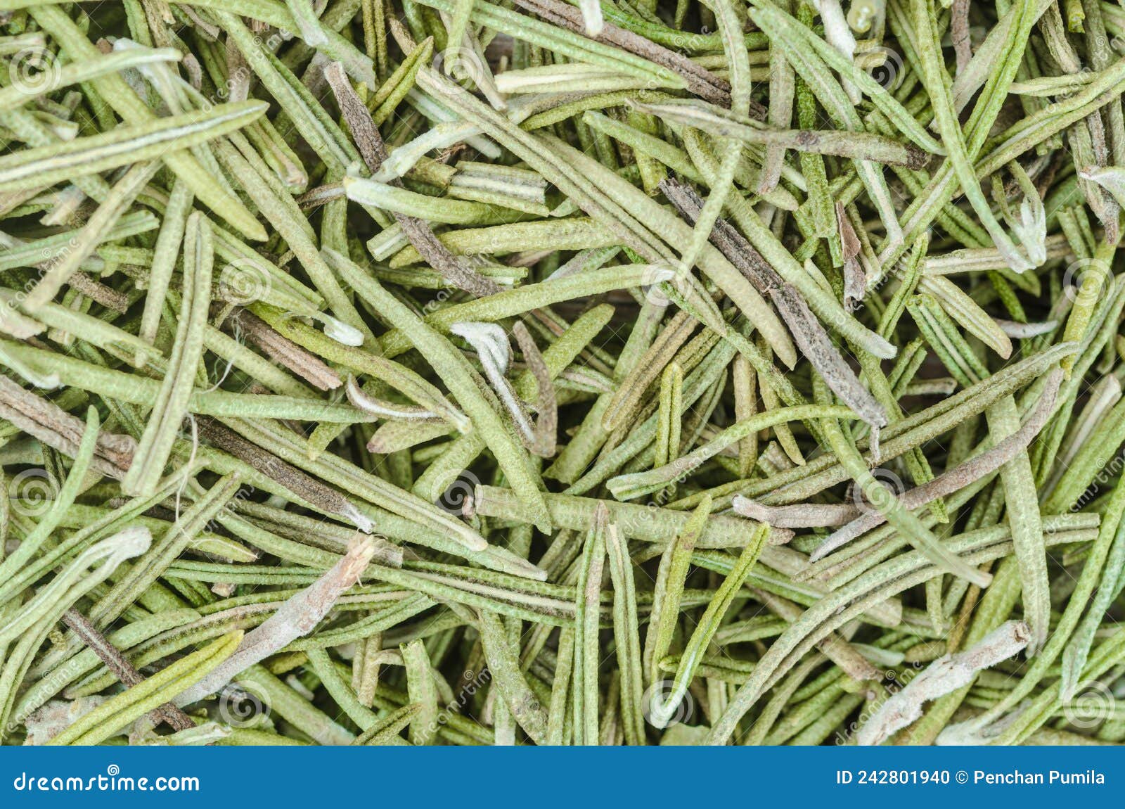 Dried Rosemary Condiment Background Solid Stock Photo - Image of green ...