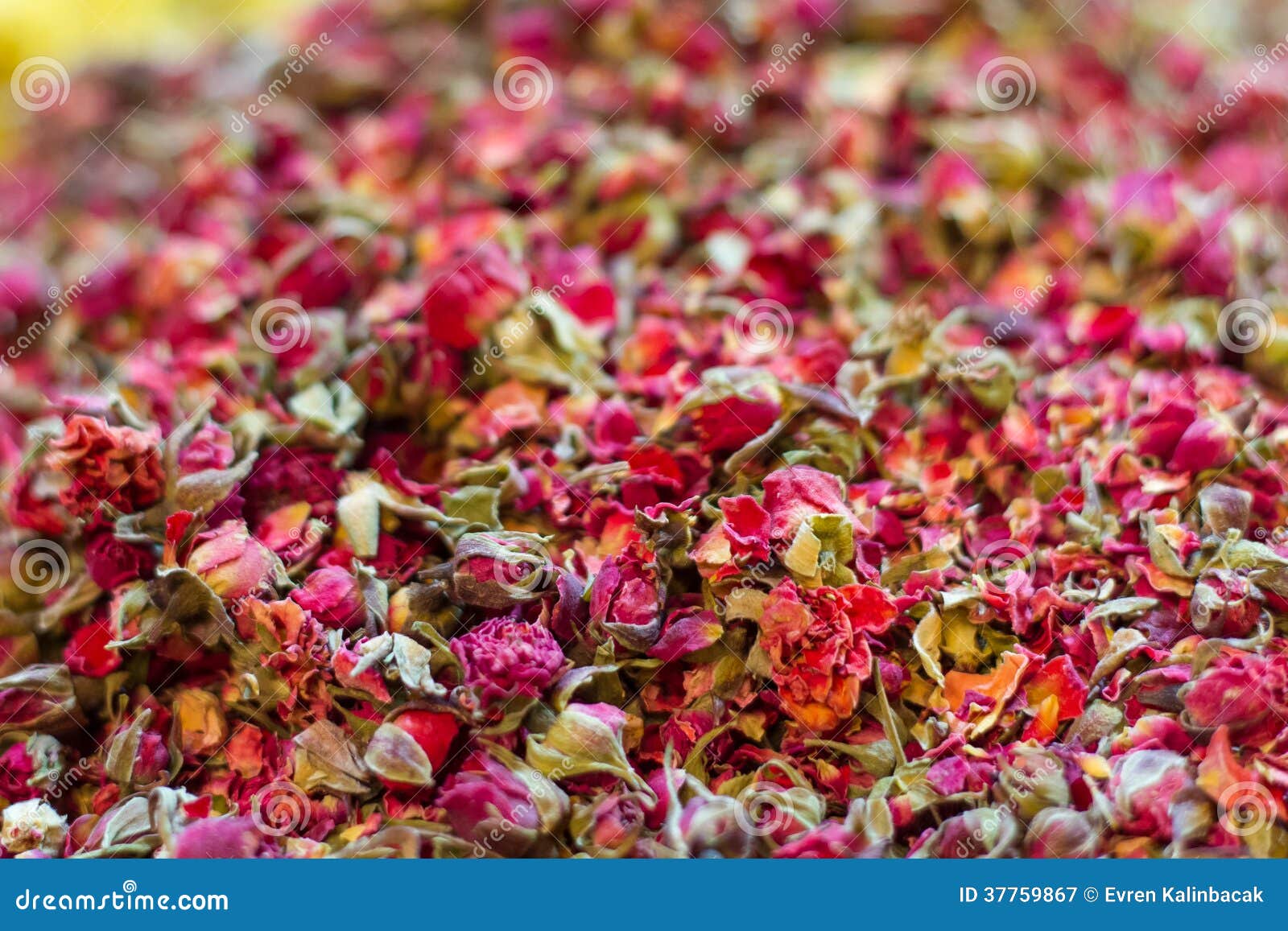 Dried Roses stock image. Image of eminonu, store, flower - 37759867