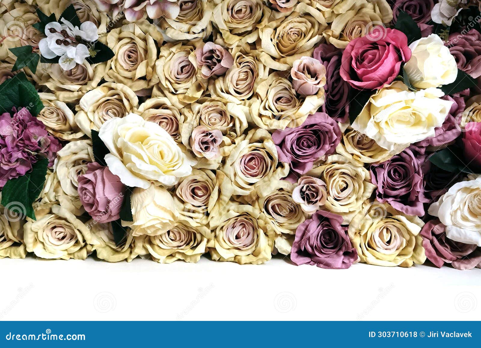 Dried roses texture stock photo. Image of leaf, faded - 303710618