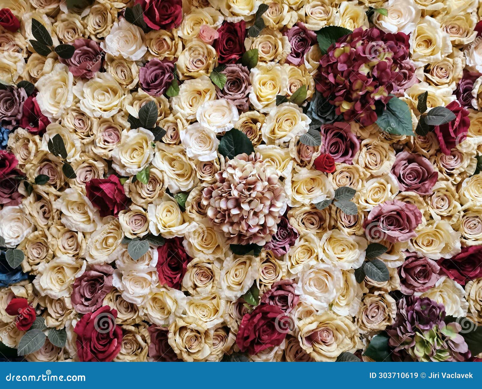 Dried roses texture stock image. Image of texture, romance - 303710619