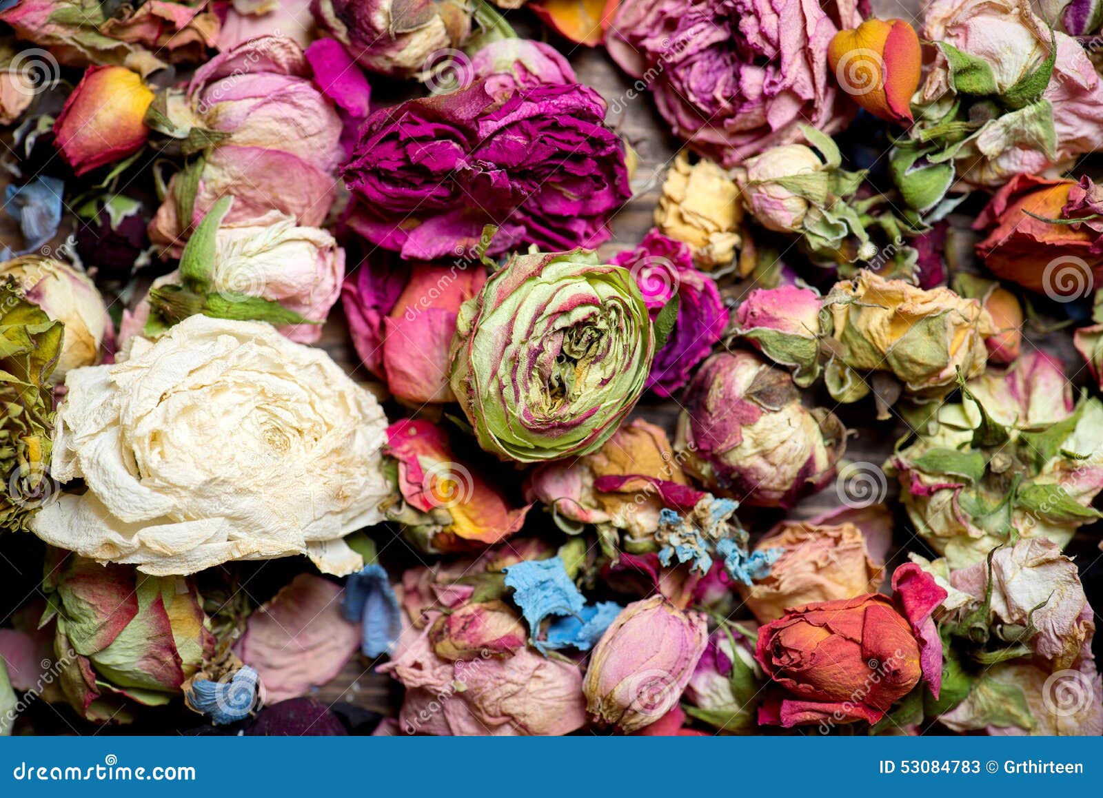 Dried Roses. Valentines Background. Stock Image - Image of dried ...
