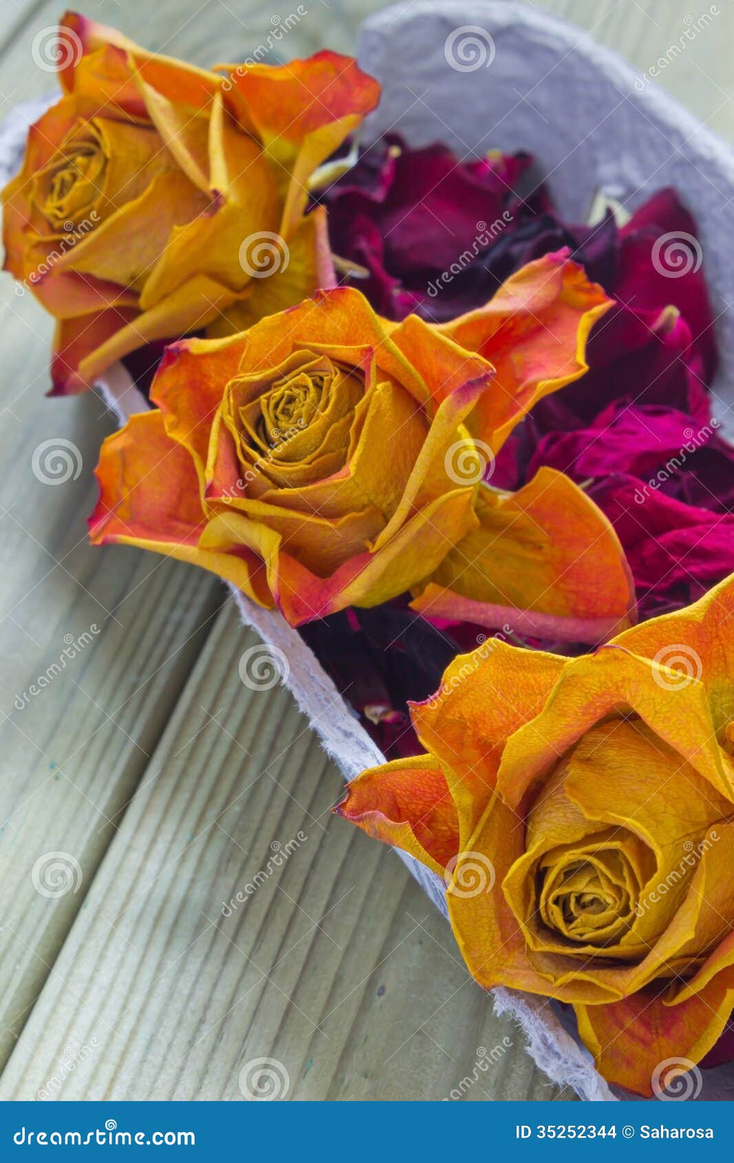 The dried roses stock photo. Image of objects, nostalgia - 35252344