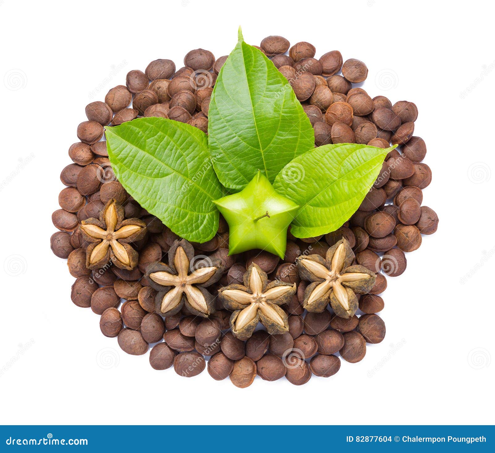 Dried Sacha Inchi Raw Seed Nuts and Leaves on White Stock Photo - Image ...