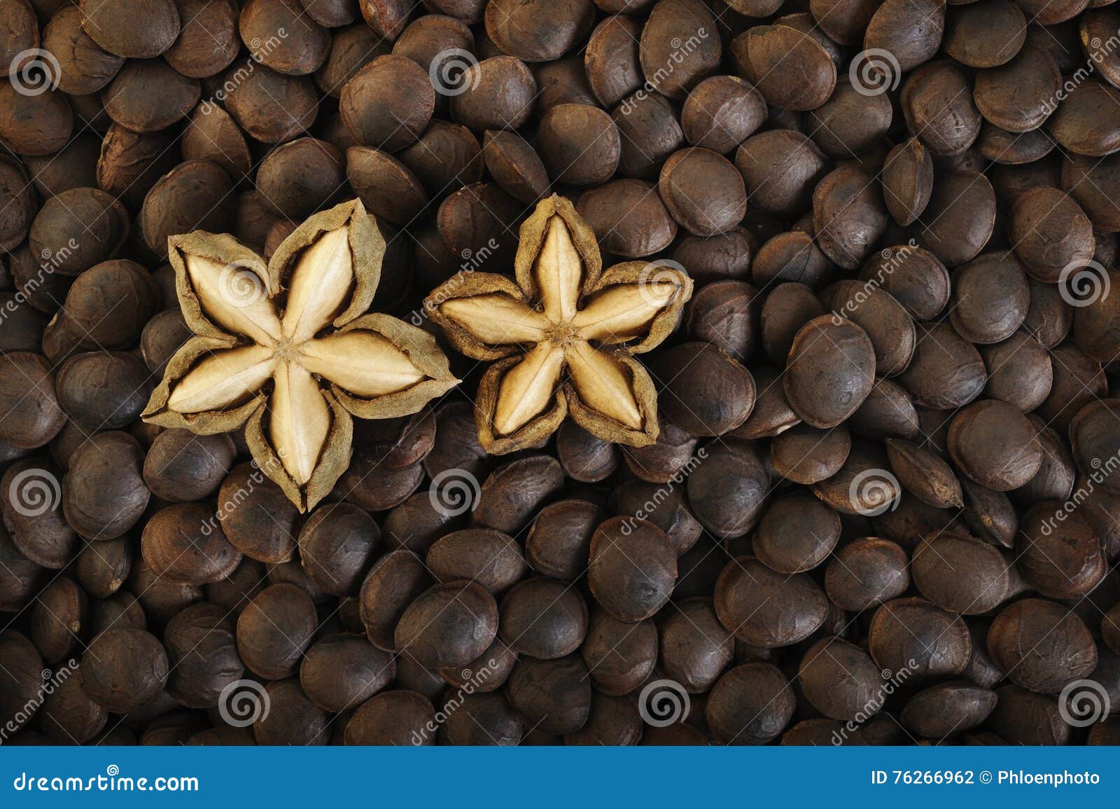 Sacha Inchi, Sacha Mani Or Star Inca Peanut Seed On White Background ...