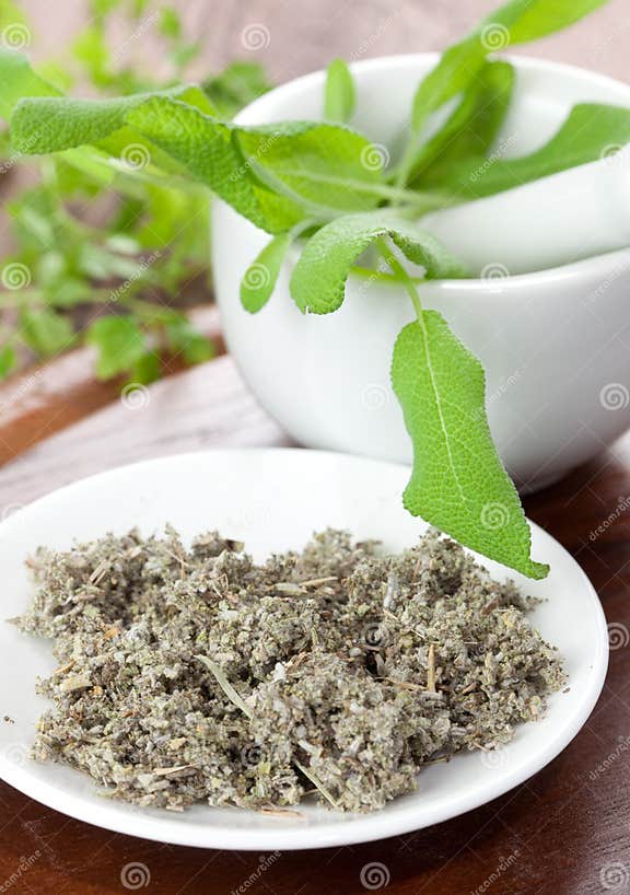 Dried sage stock photo. Image of herb, food, sage, plant - 17432034