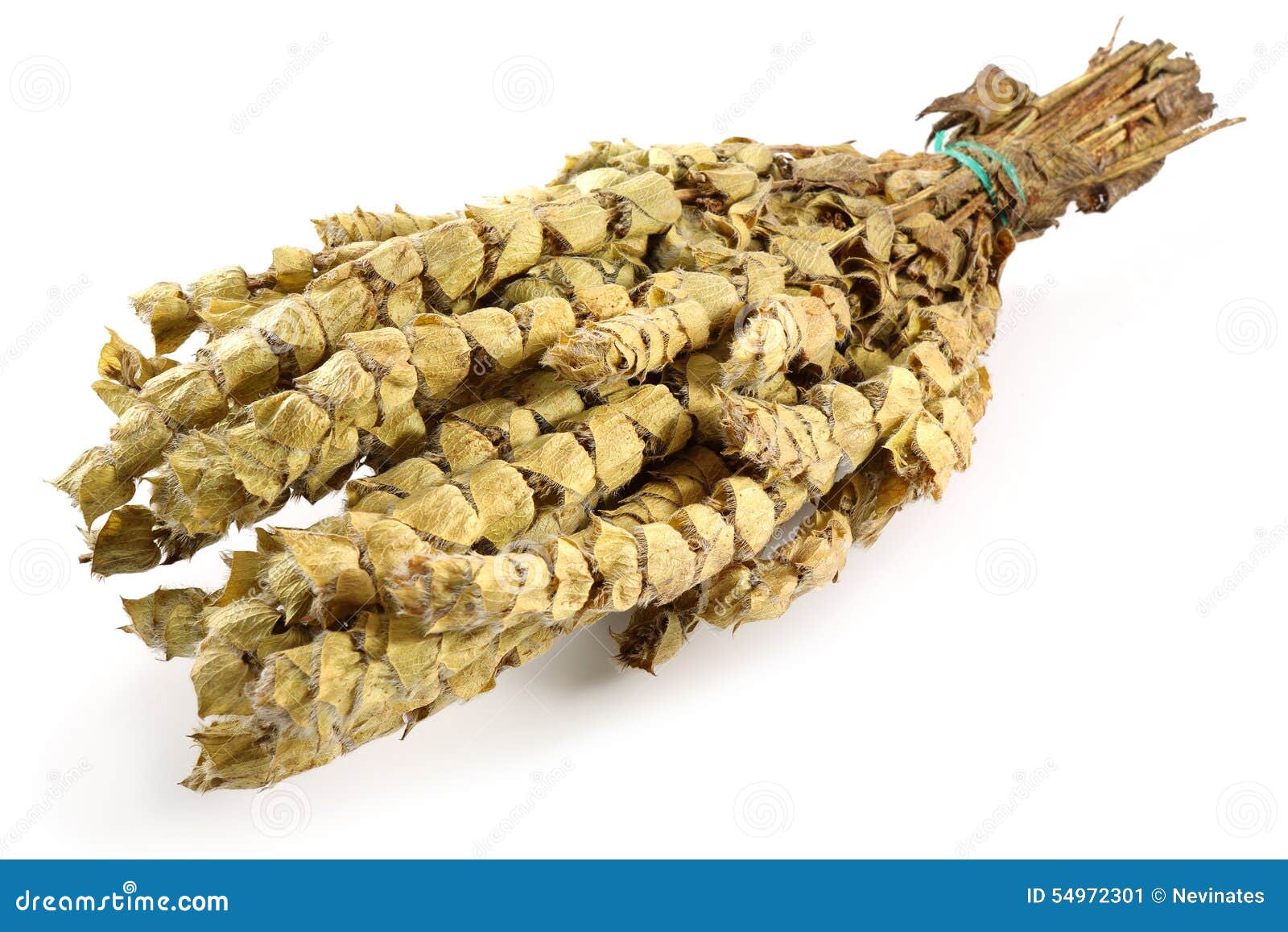 Dried Sage stock image. Image of beverage, ingredient - 54972301