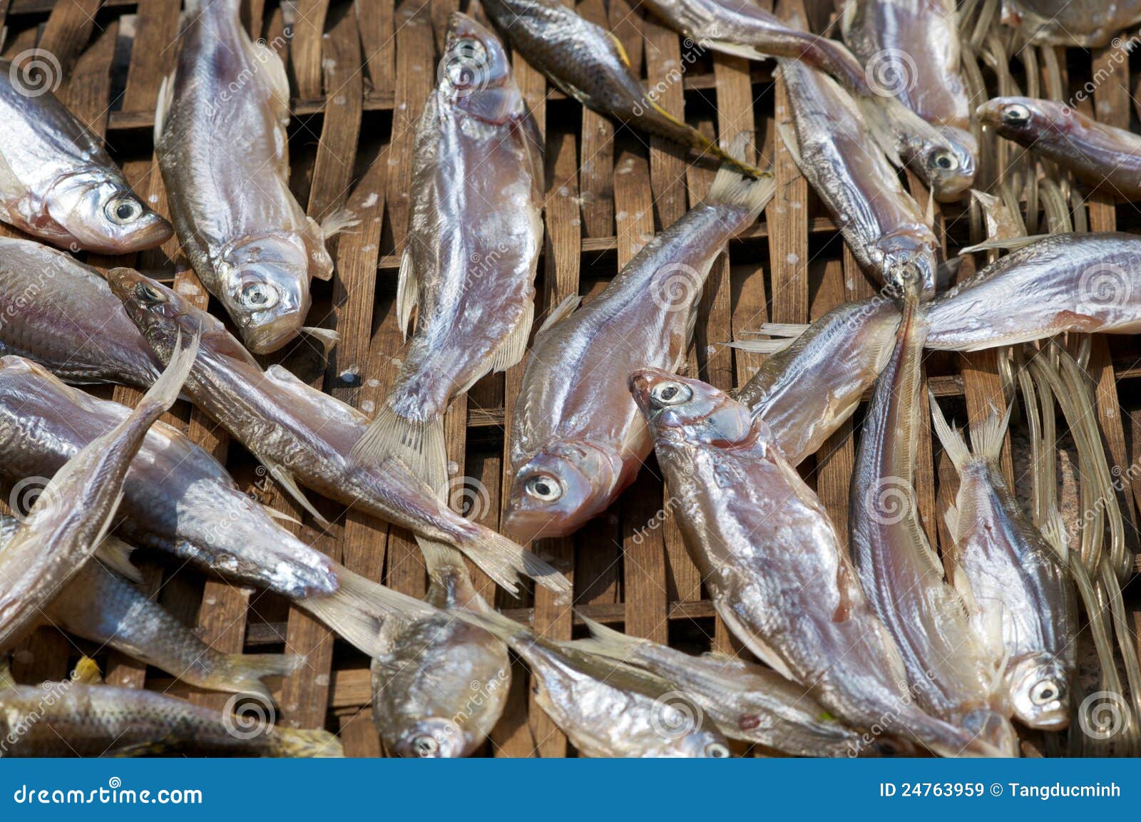 Saled Fish Stock Photos - Free & Royalty-Free Stock Photos from Dreamstime