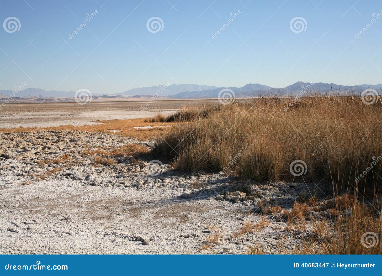 Dried salt mud flats stock image. Image of salt, like - 40683447
