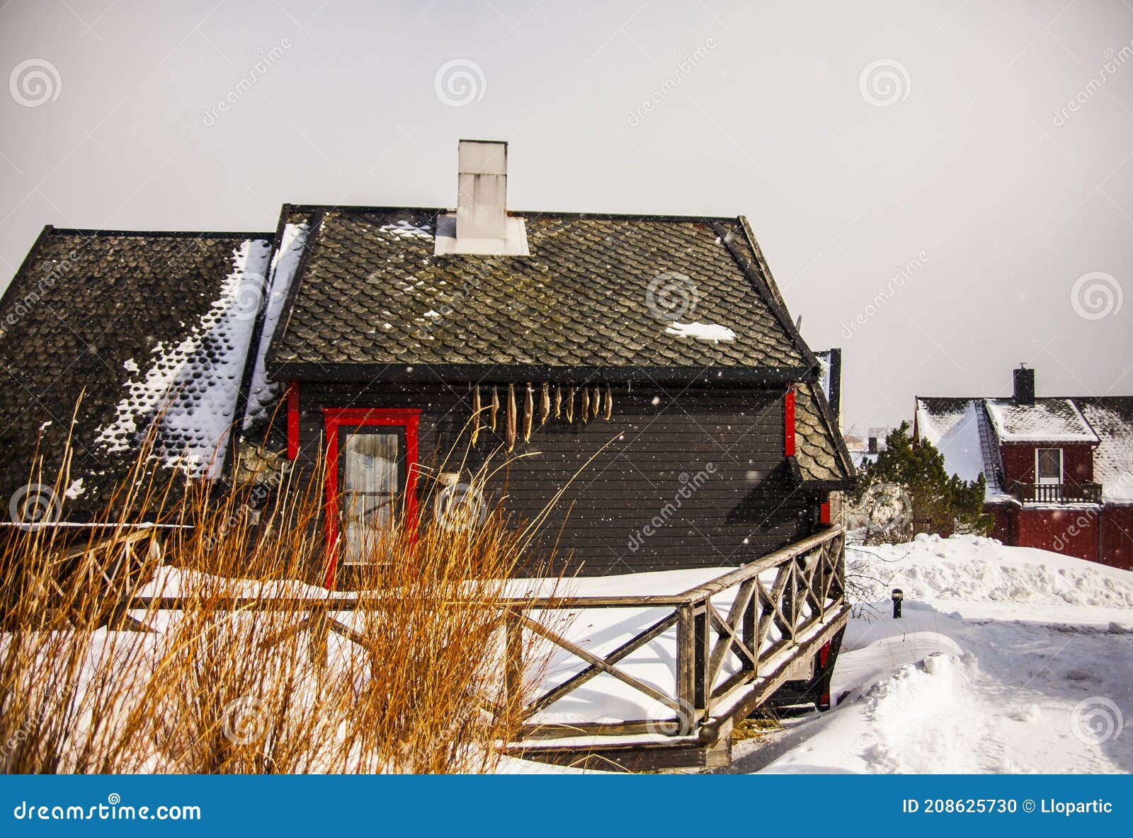 Dried and Salted Cod in Lofoten Islands, Northern Norway Stock Photo ...