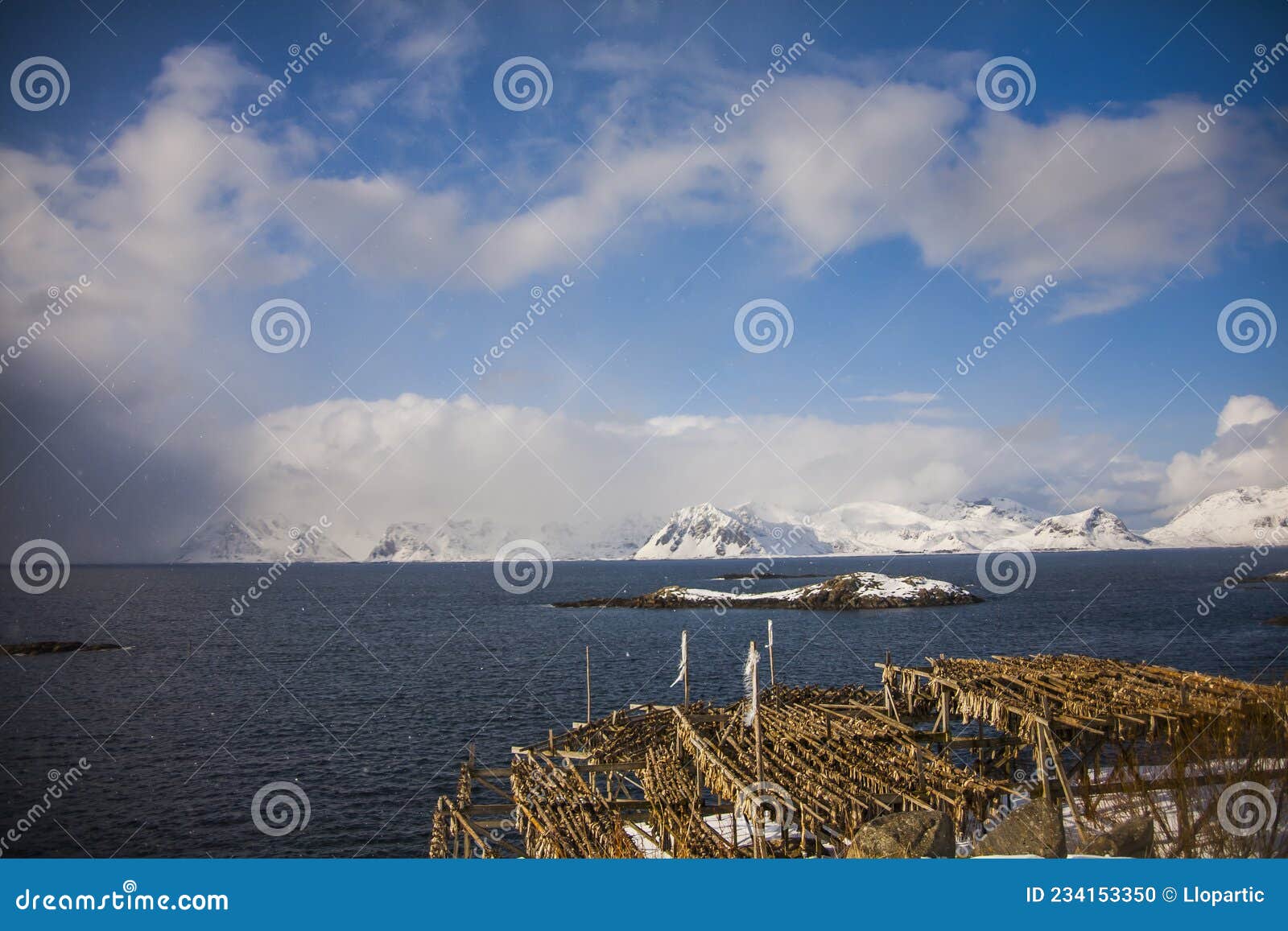 Dried and Salted Cod in Lofoten Islands, Northern Norway Stock Photo ...